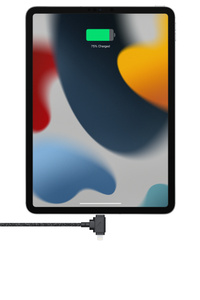 Native Union Belt Cable Duo USB-C to Lightning and USB-C Cable - Apple