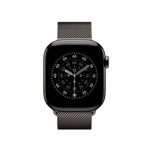 42mm Slate Milanese Loop - Apple