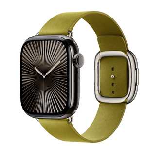 Buy Apple Watch Series 10 GPS + Cellular, 42mm Slate Titanium Case with ...