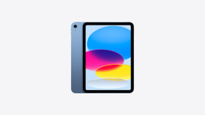 Buy 11" iPad Wi-Fi 256GB - Blue - Apple (IN)