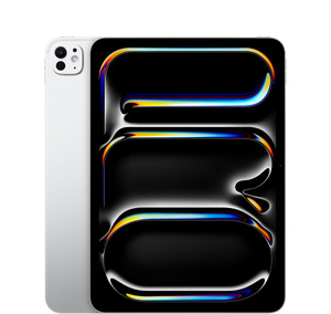 11-inch iPad Pro Wi-Fi 256GB with standard glass - Silver - Education ...