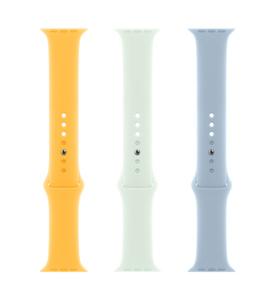 Buy Apple Watch Accessories - Apple