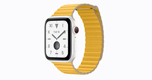 Buy Apple Watch Edition - Apple (AU)
